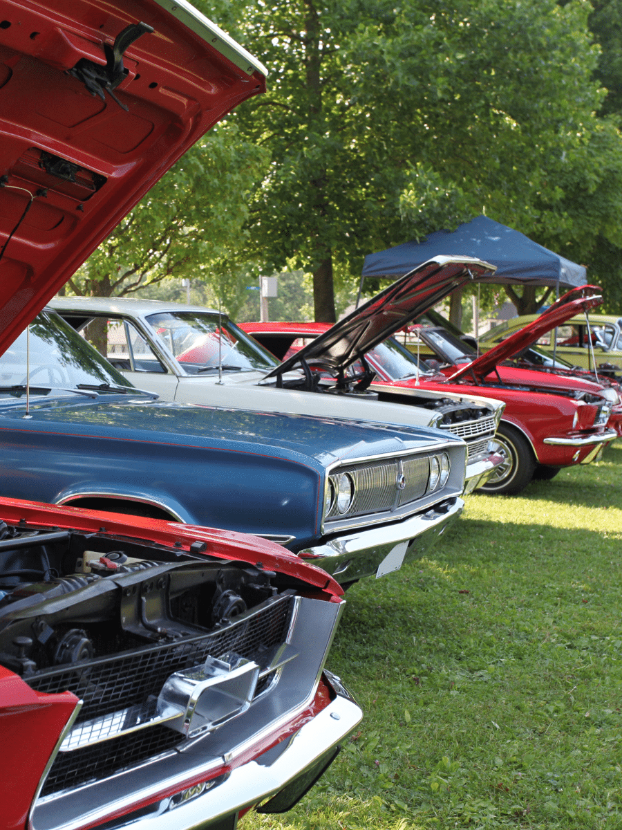 The Fair – Teeswater Fair